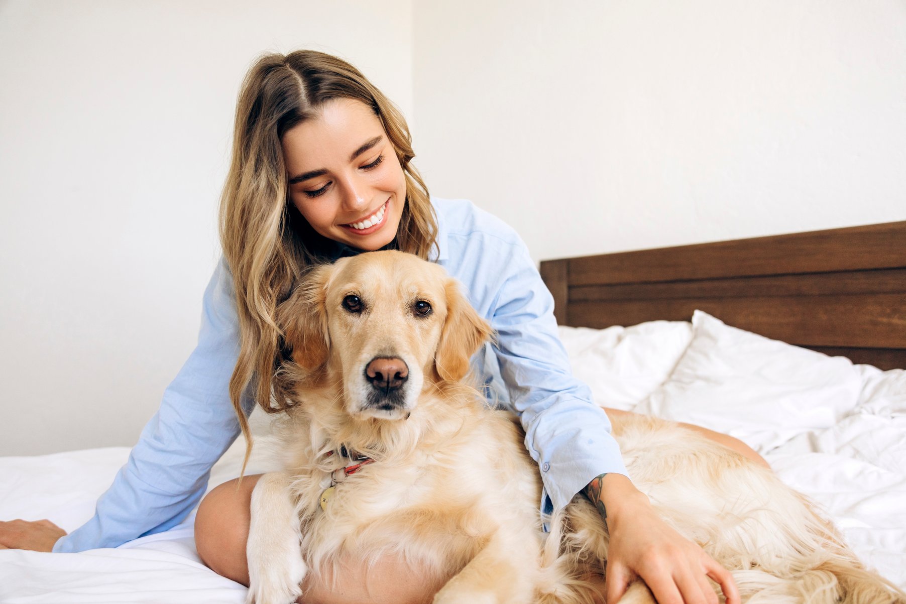 Myth or Fact: Do People Look Like Their Dogs?