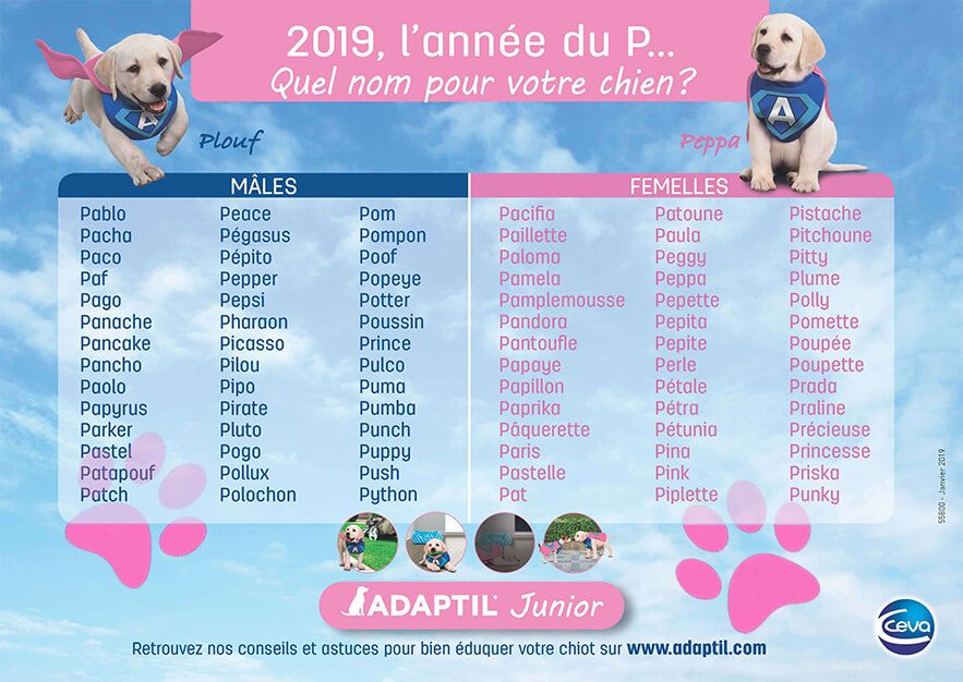 2019 L ann e De La Lettre P 2019 L ann e De La Lettre P