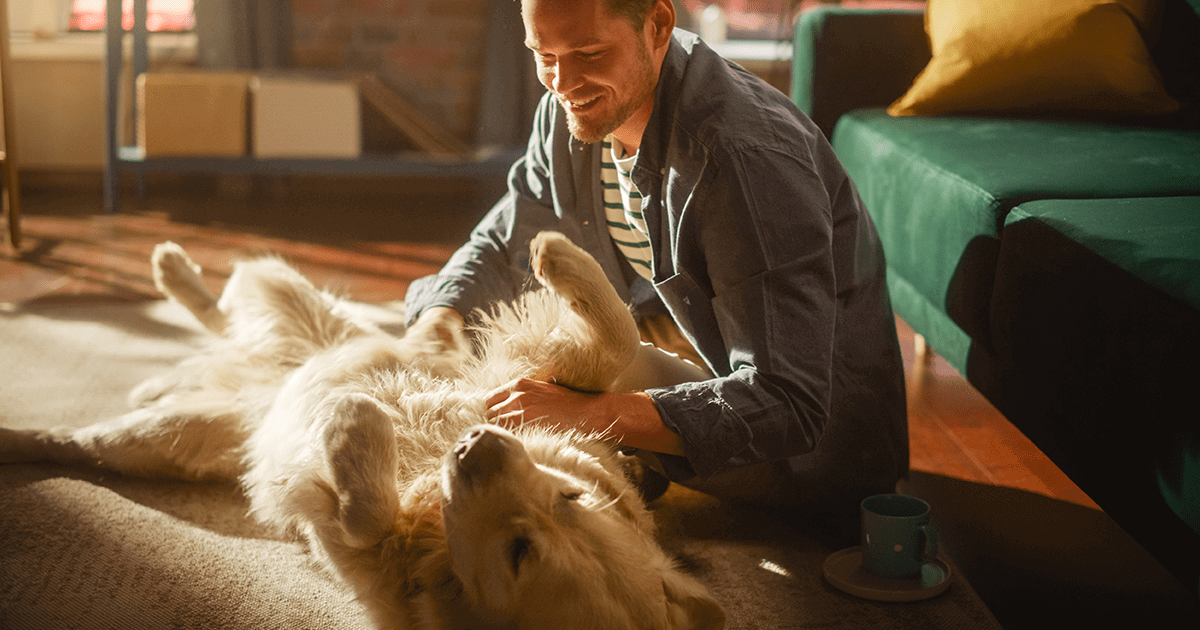 Why Do Dogs Shiver? 5 Possible Reasons Owners Should Know