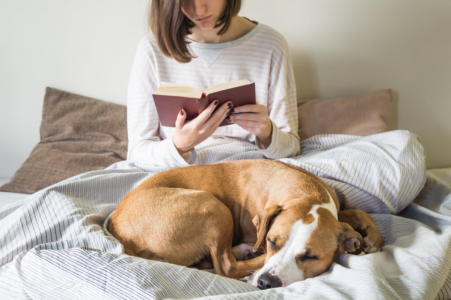 The Importance of Sleep for Dogs: A Happy Dog Expert Explains!