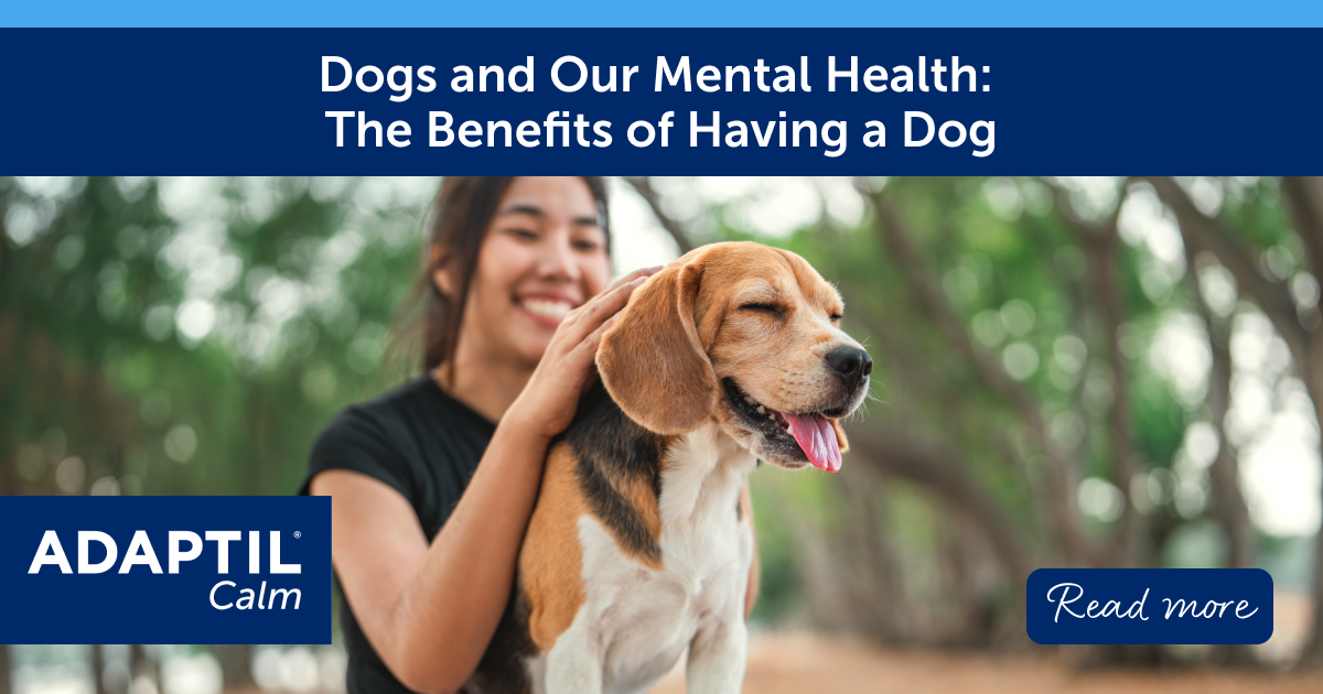 Dogs and Our Mental Health: The Benefits of Having a Dog
