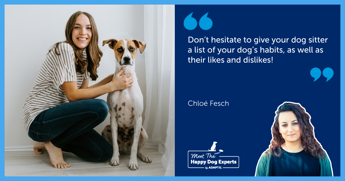 How Do You Find the Right Dog Sitter? A Happy Dog Expert Explains!