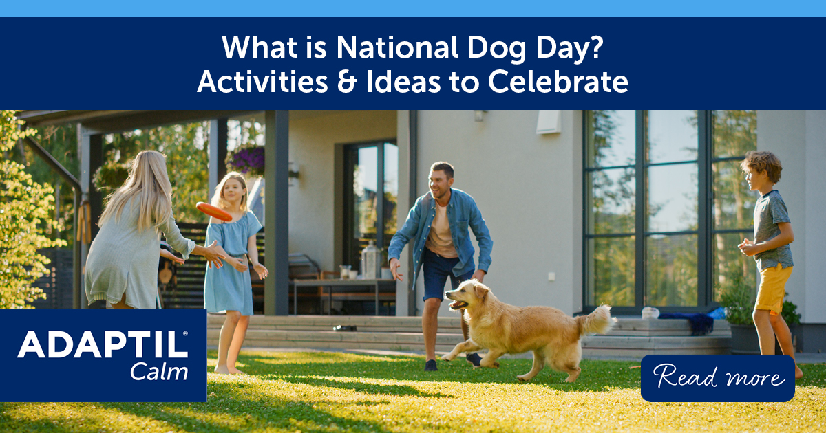 What is National Dog Day? Activities & Ideas to Celebrate