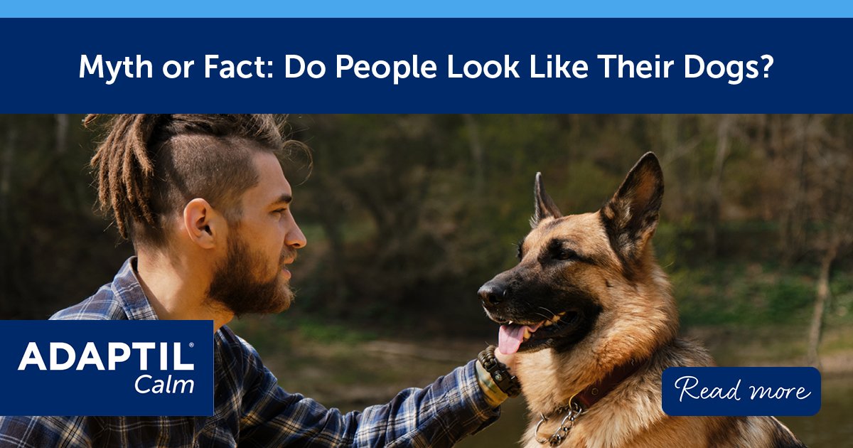 Myth or Fact: Do People Look Like Their Dogs?