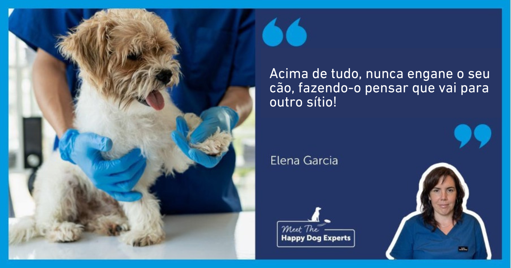 Como preparar o seu cão para ir ao Veterinário: a Happy Dog Expert explica