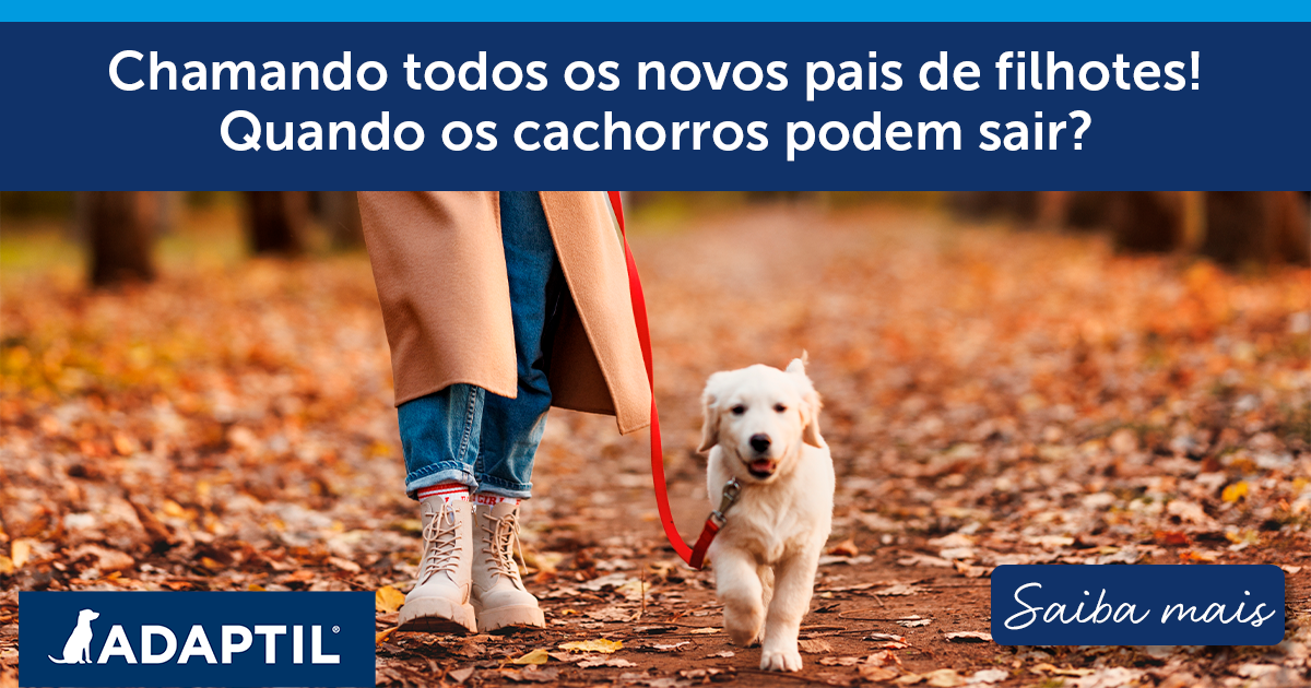 Chamando todos os novos pais de filhotes! Quando eles podem sair?