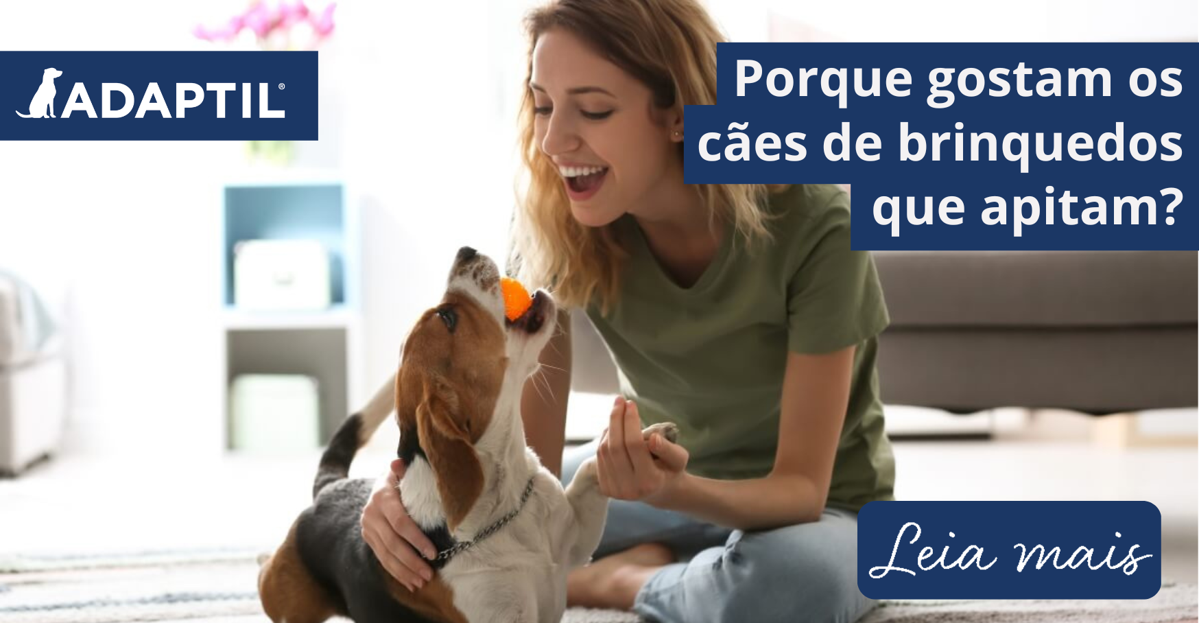 Ponto de vista de um cão: Porque gostam tanto de brinquedos que apitam?